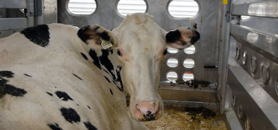 eLearning (on demand)